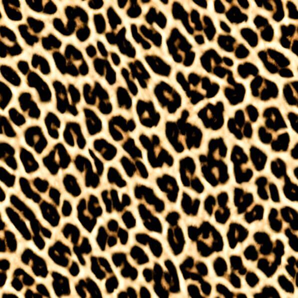 Download Leopard Print Background for Home and Office Decor Patterns ...