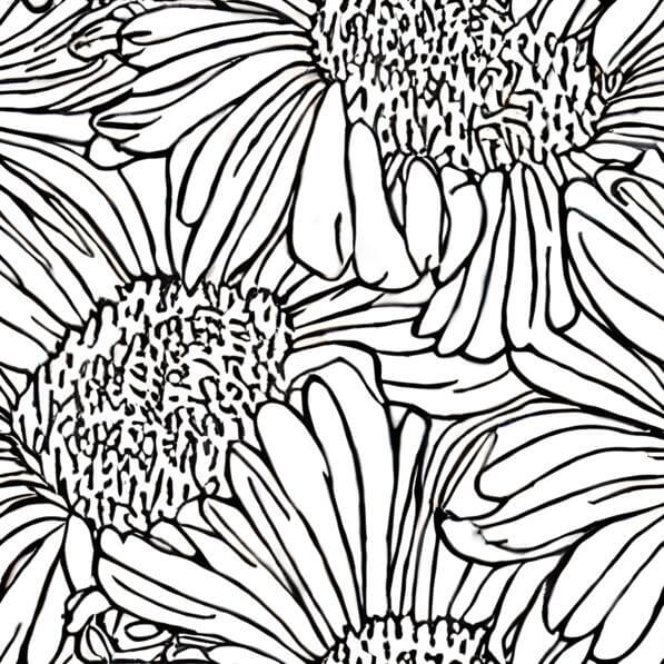 Download Black and White Daisy Flower Seamless Pattern Patterns Online ...