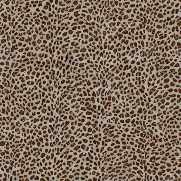 Download Animal Print Fabric with Realistic Texture Patterns Online ...