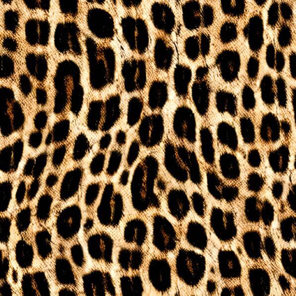 Download Leopard Print Fabric Texture Close-up Patterns Online ...