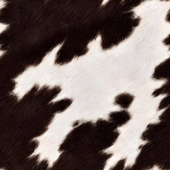 Download Texture and Patterns of Brown and White Cow's Fur Patterns ...