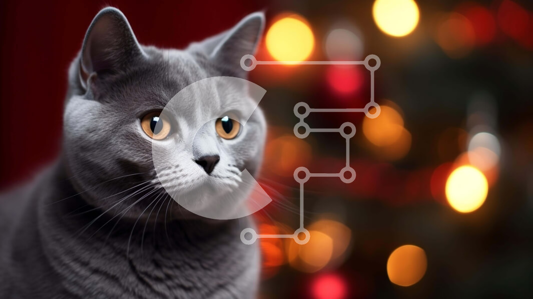 Download Gray Cat in Front of Illuminated Christmas Tree Stockphotos ...