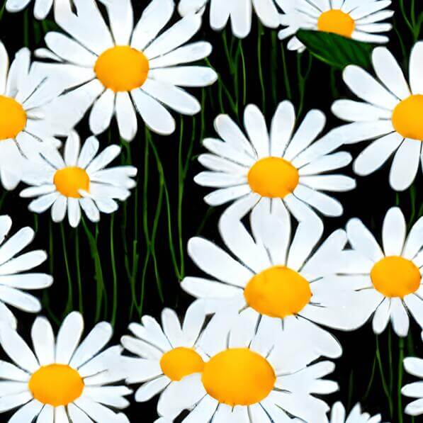 Download White and Yellow Daisy Seamless Pattern Patterns Online ...