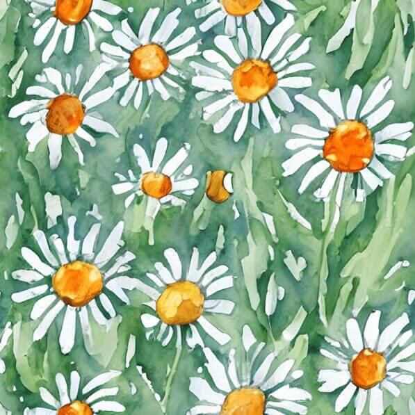 Download Watercolor Painting of White and Orange Daisies in a Field ...