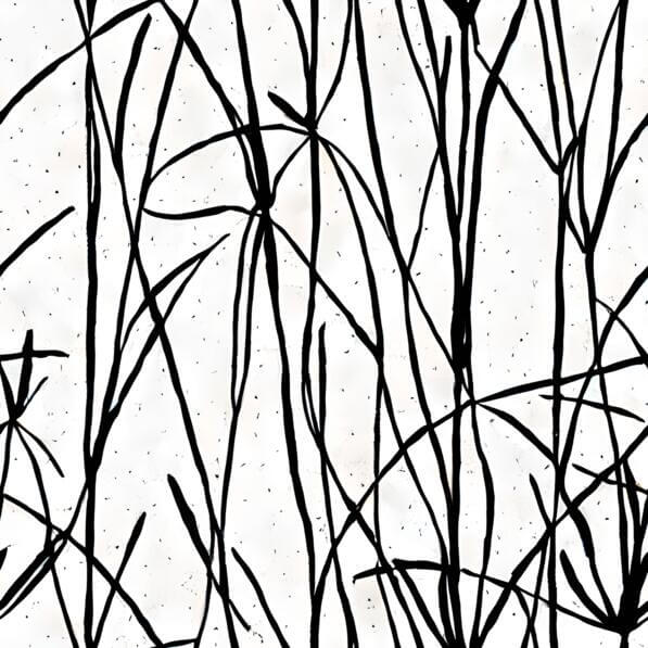 Download Abstract Black and White Drawing of Tall Grasses Patterns ...