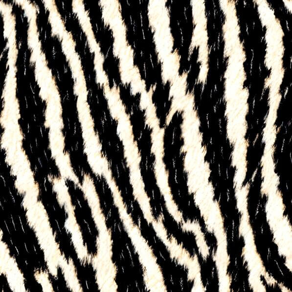 Download Black and White Zebra Print Fabric Texture Patterns Online - Creative Fabrica