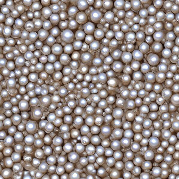 Download White Background with Scattered Pearls Patterns Online ...