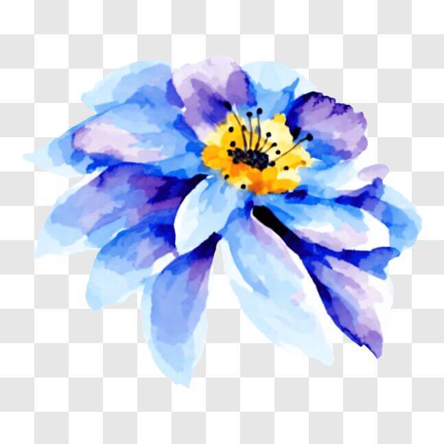 Download Blue Watercolor Flower with Orange Center PNGs Online ...