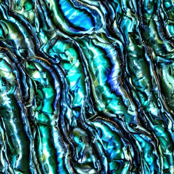 Download Close-up of Abalone Shell with Blue and Green Swirls Patterns ...
