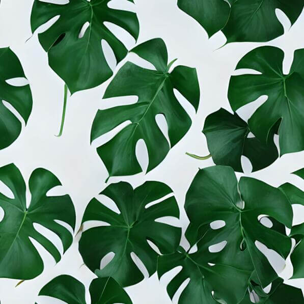 Download Green Monstera Leaves Seamless Pattern Patterns Online ...