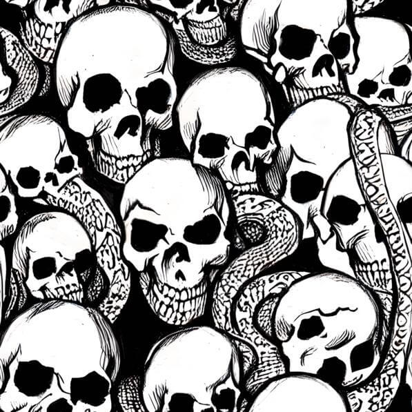 Download Skulls and Snakes Pattern on Black Background Patterns Online ...