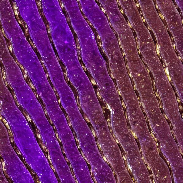 Download Close-Up Image of a Purple Cell with Gold Lines Patterns ...