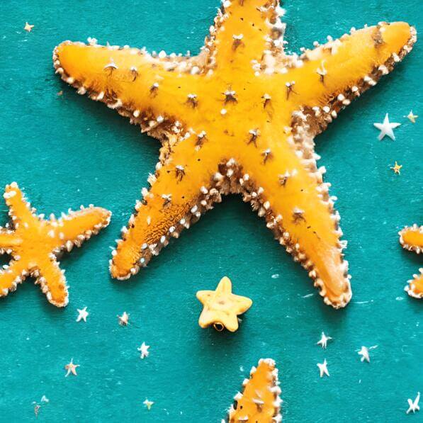 Download Starfish-shaped Cookies on Teal Background Patterns Online ...