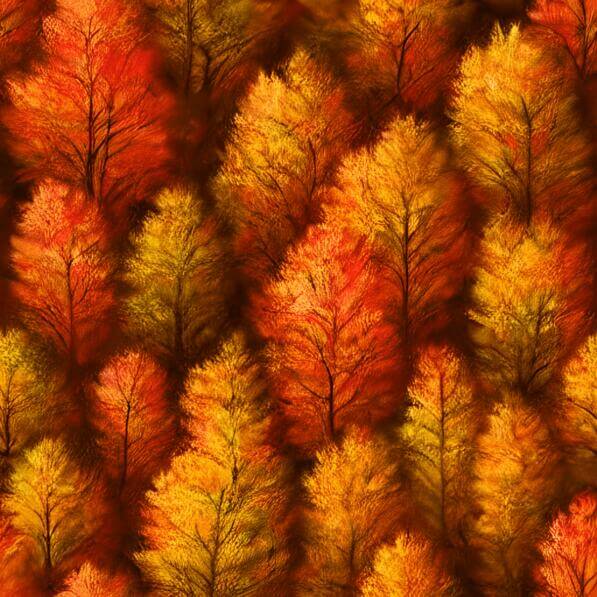 Download Seamless Autumn Tree Pattern Patterns Online - Creative Fabrica