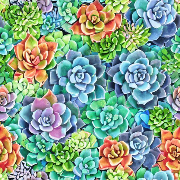 Download Colorful Succulent Pattern for Interior Design Patterns Online ...