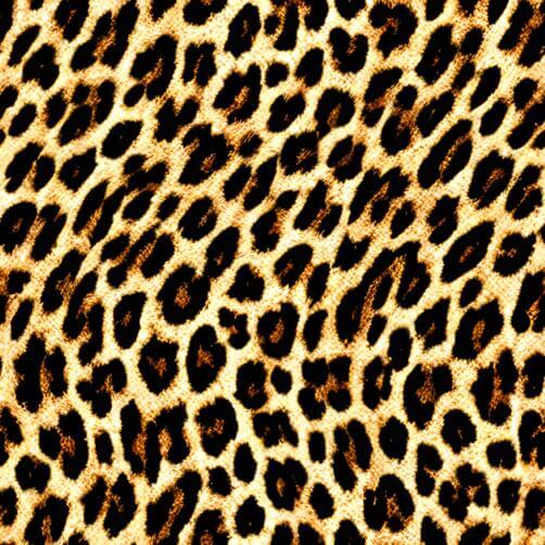 Download Leopard Print Fabric Background Patterns Online - Creative Fabrica