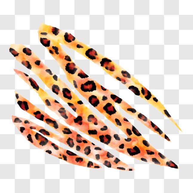 Cheetah Print PNG - Download Free & Premium Transparent Cheetah Print ...
