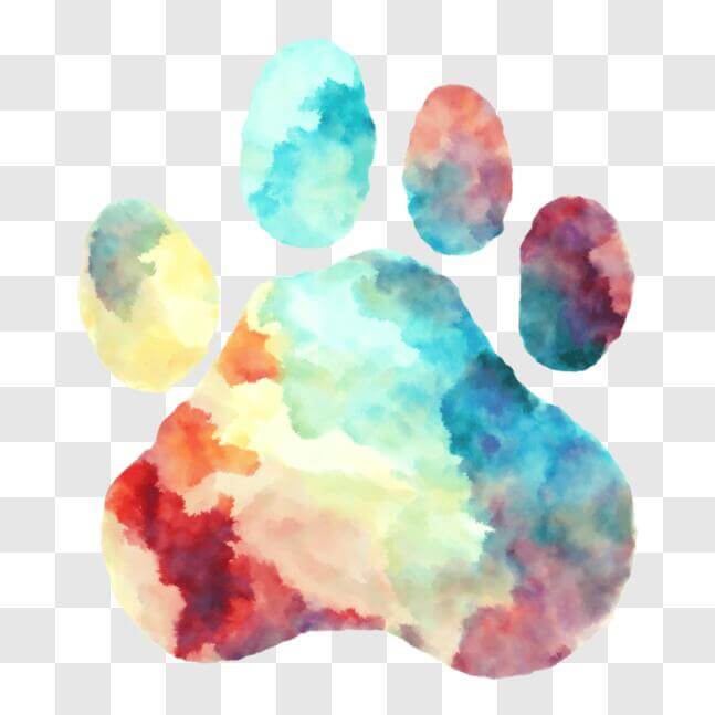 Download Colorful Watercolor Dog Paw Print Art PNGs Online - Creative ...