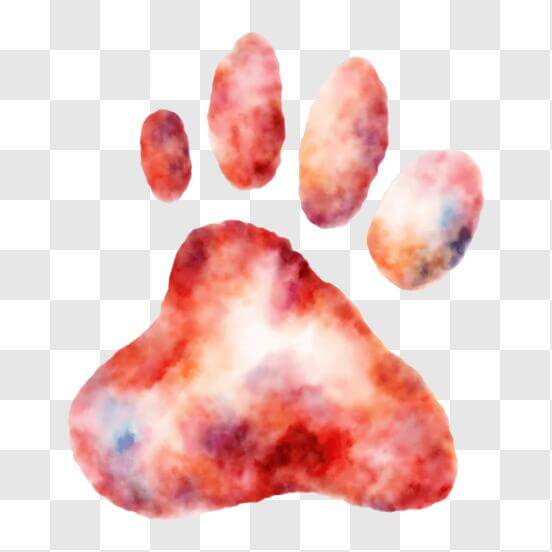 Paw PNG - Download Free & Premium Transparent Paw PNG Images Online ...