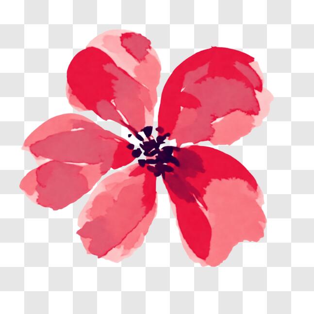 Download Beautiful Red Watercolor Flower on Black Background PNGs ...