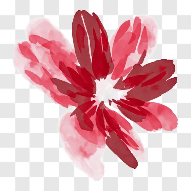 Download Red Watercolor Flower on Black Background PNGs Online ...