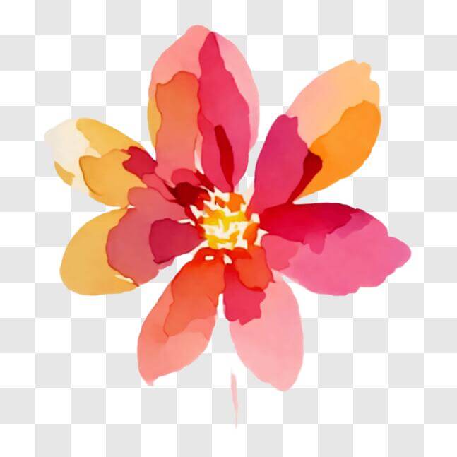 Flower Outline PNG - Download Free & Premium Transparent Flower Outline ...