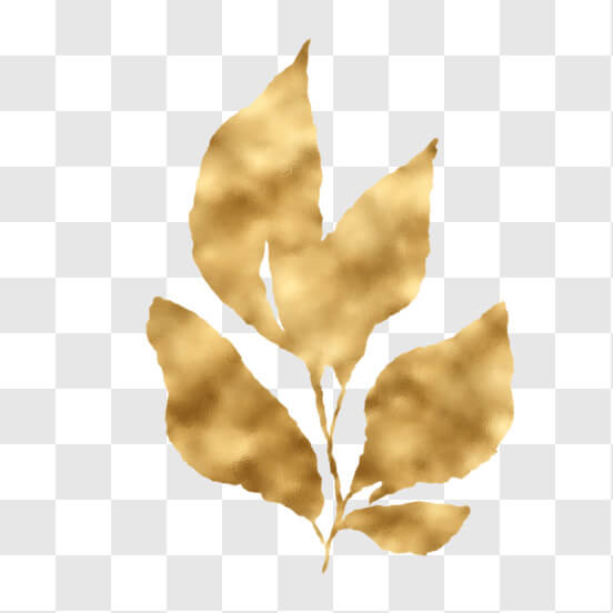 Gold Leaf PNG - Download Free & Premium Transparent Gold Leaf PNG ...