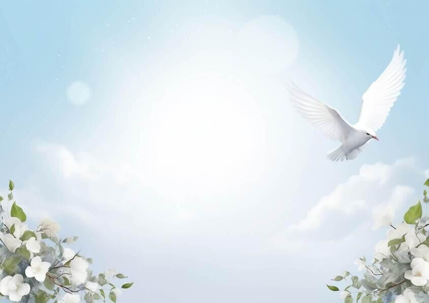 Download White Dove Flying in Blue Sky with Clouds and Flowers ...