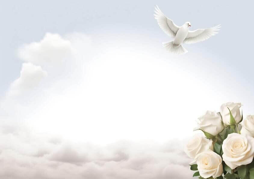 Download White Dove Flying in the Sky with White Roses Backgrounds ...