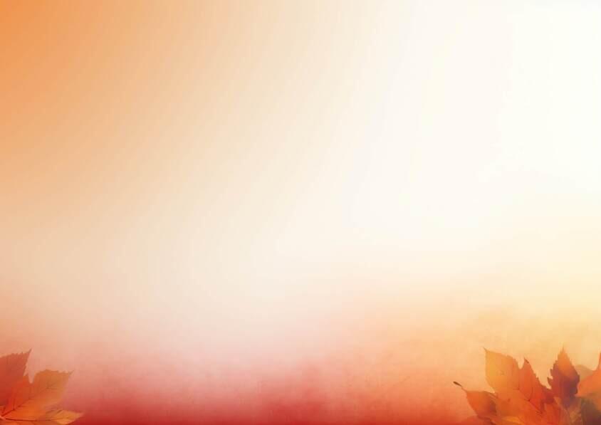 Download Autumn Leaves Background with Mist and Fog Backgrounds Online ...