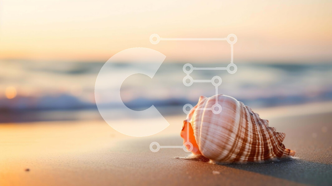 Conch Shell on the Sand Near the Ocean stock photo | Creative Fabrica