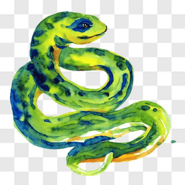 Download Colorful Watercolor Snake Illustration PNGs Online - Creative ...