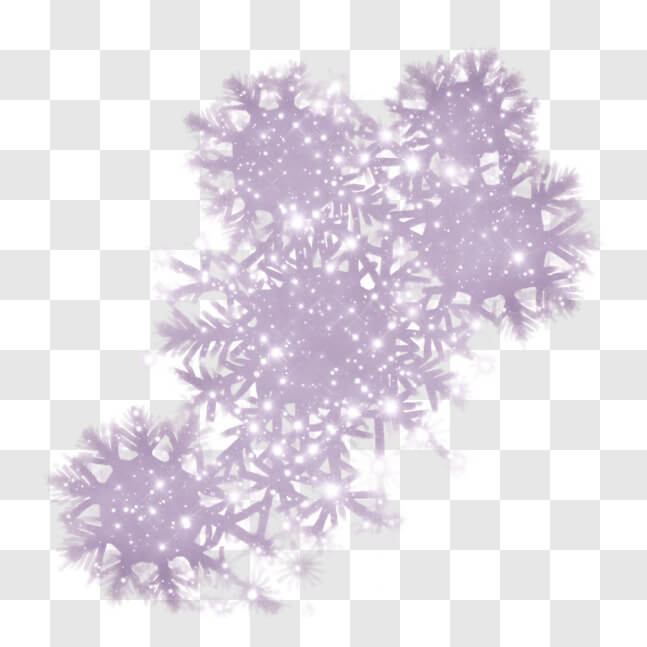 Download Purple Snowflake Cluster on a White Background PNGs Online ...