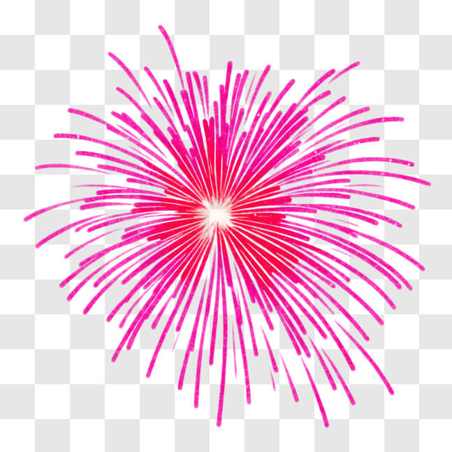 Download Pink Firework Explosion in the Air PNGs Online - Creative Fabrica