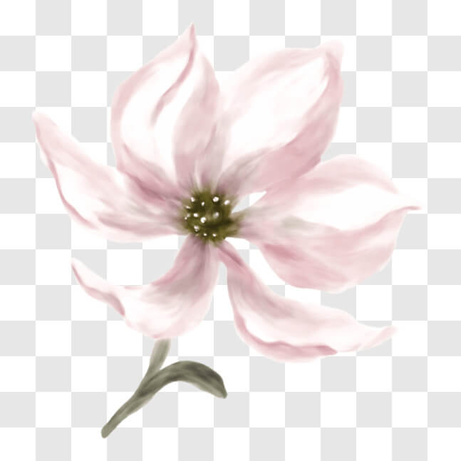 Download Pink Dogwood Flower Artistic Style PNGs Online - Creative Fabrica