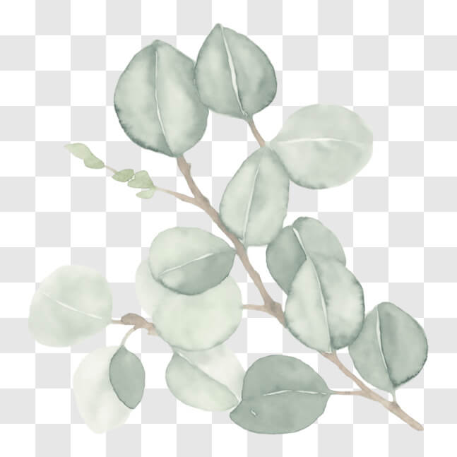 Download Watercolor Eucalyptus Branch Illustration with Green Leaves ...