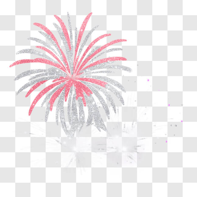 Firework PNG - Download Free & Premium Transparent Firework PNG Images ...