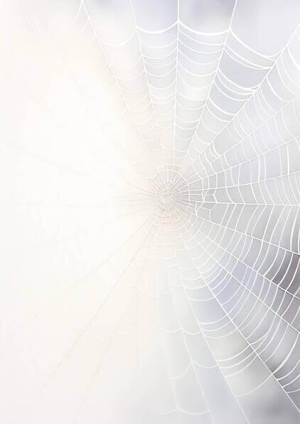 Download Intricate White Spider Web Background Backgrounds Online ...