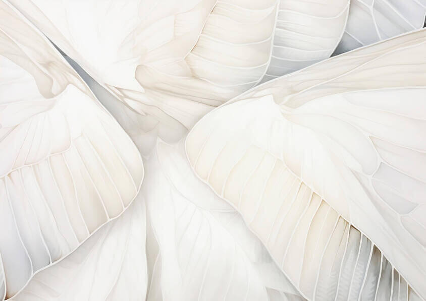 Download Abstract Art: Circular Pattern of White Bird Wings Backgrounds ...