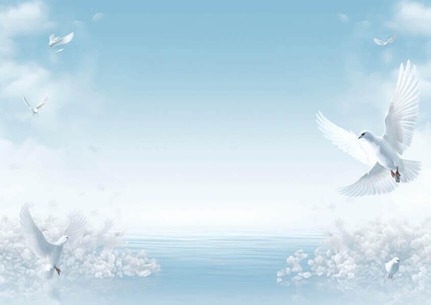 Download White Doves Flying in the Sky Over Water Backgrounds Online ...