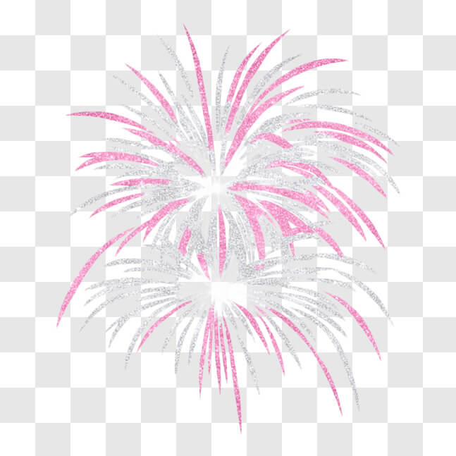 Download Pink and White Fireworks Display in the Sky PNGs Online ...