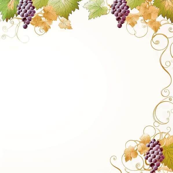 Download Grapes and Leaves White Background Frame Backgrounds Online ...