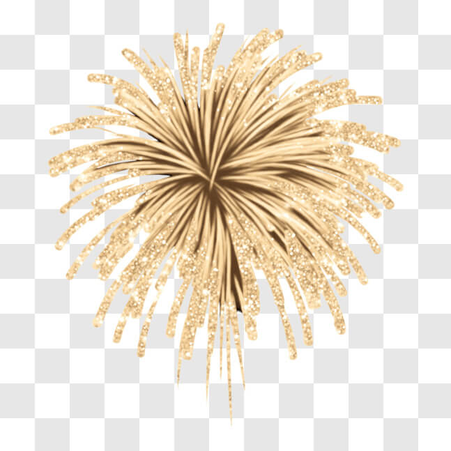 Download Gold Firework Decoration for Celebrations and Events PNGs ...