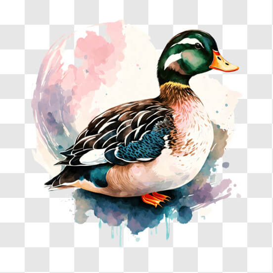 Download Colorful Duck on Abstract Watercolor Background PNGs Online ...