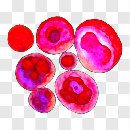 Blood PNG - Download Free & Premium Transparent Blood PNG Images Online ...