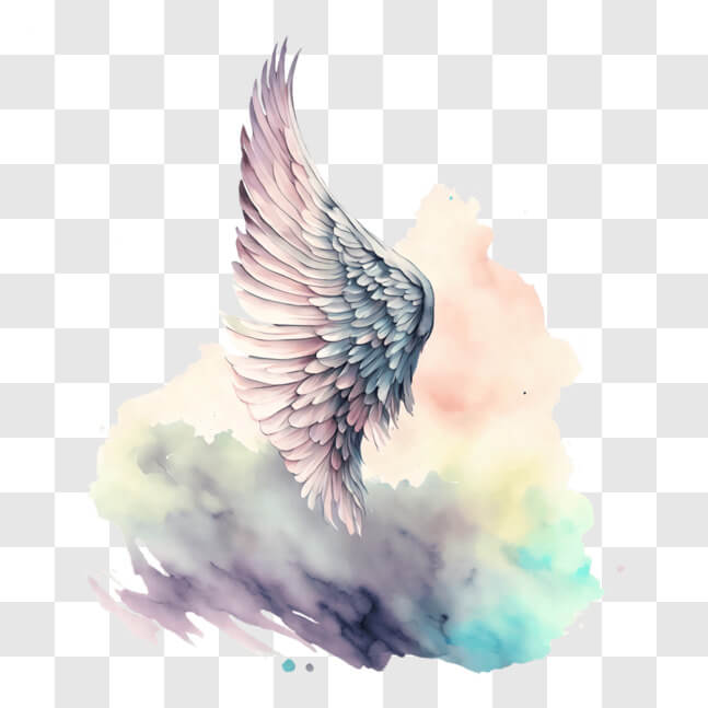 Wing PNG - Download Free & Premium Transparent Wing PNG Images Online ...