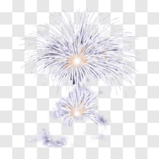 Download White Fireworks Display in the Night Sky PNGs Online ...
