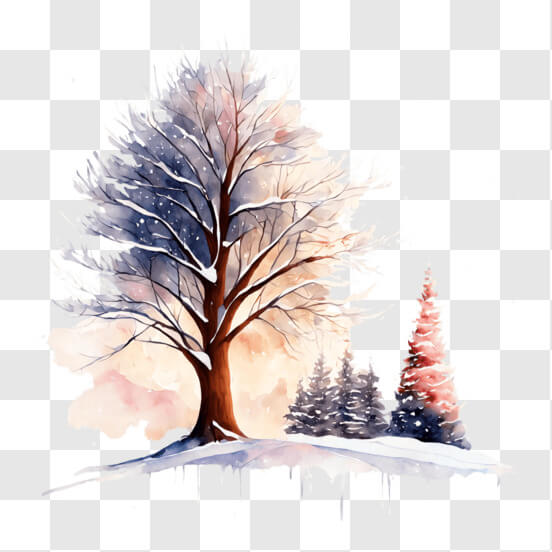 Watercolor Winter Tree PNG - Download Free & Premium Transparent ...