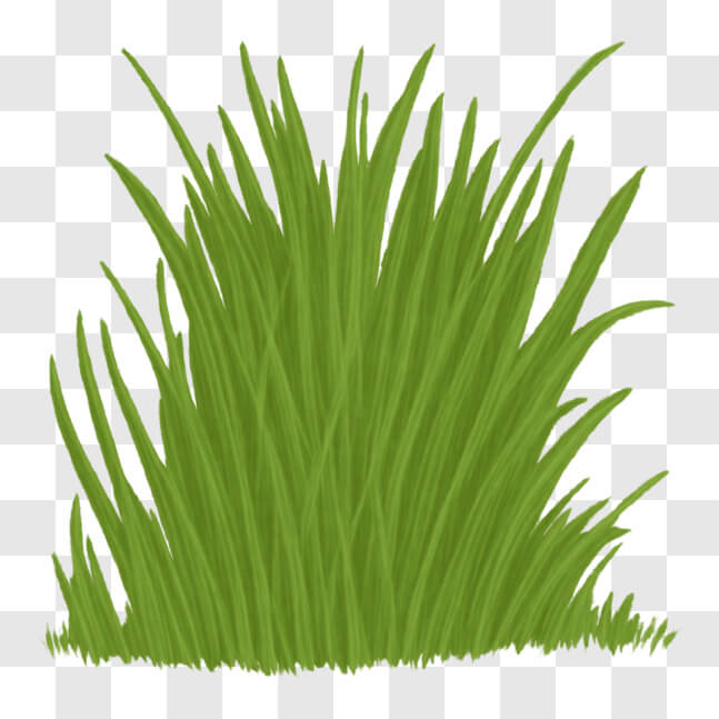 Download Green Grass Clip Art PNGs Online - Creative Fabrica