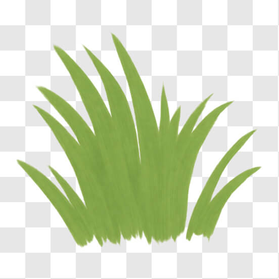 Grass Texture PNG - Download Free & Premium Transparent Grass Texture ...